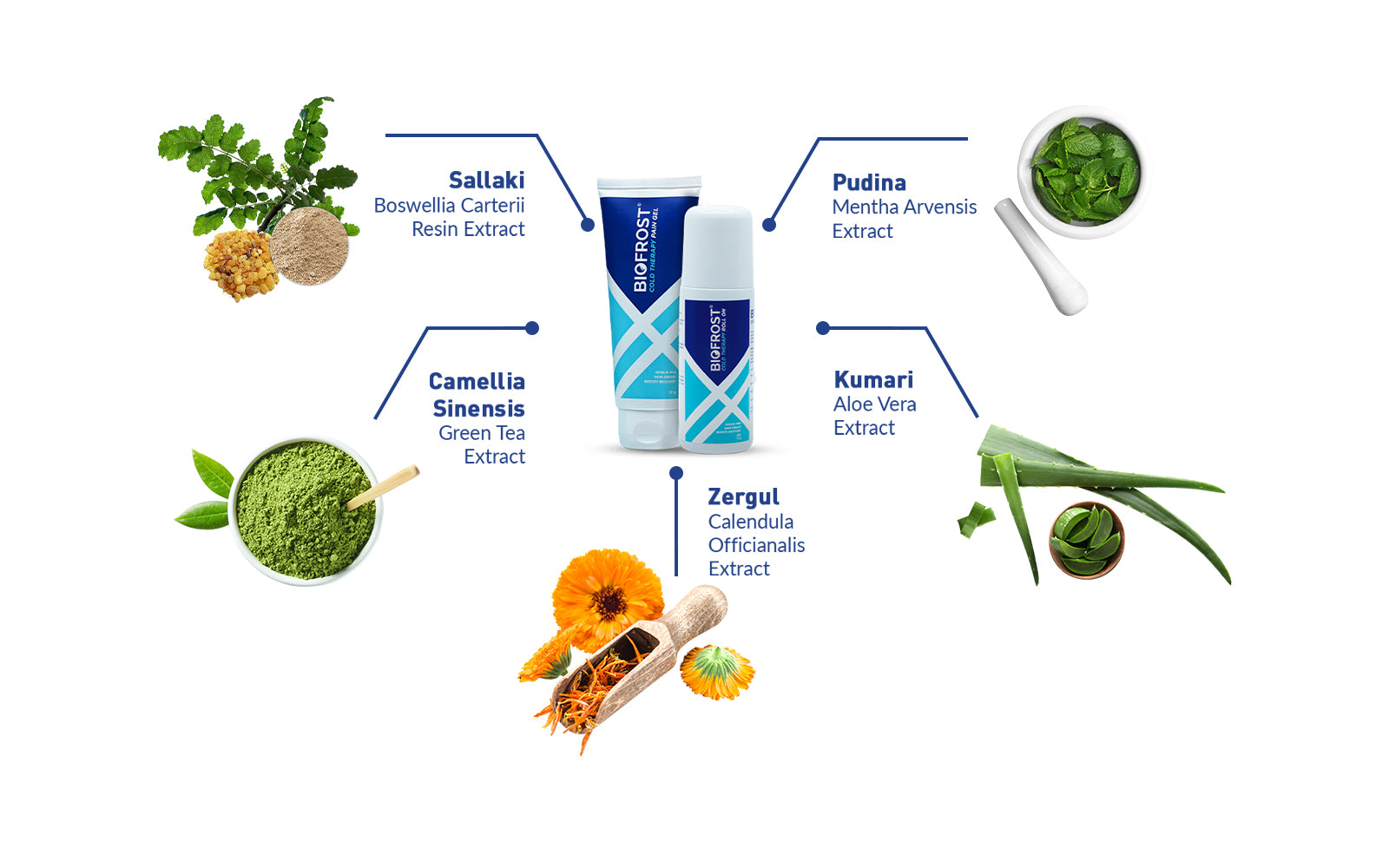 BIOFROST | Natural Cold Therapy Pain Relief for Active Lifestyles